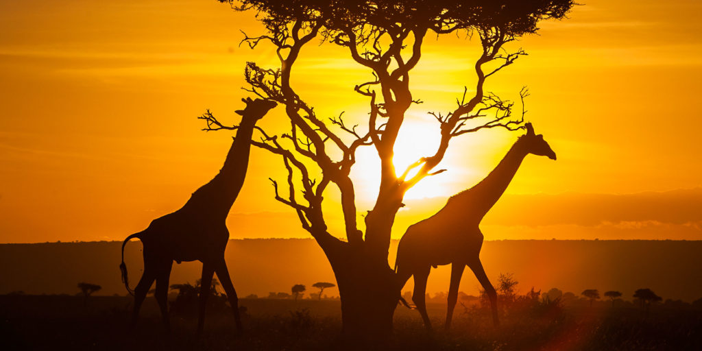 10 Important Facts About Kenya - World's Facts