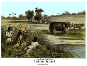 41 Interesting Facts about Javan Rhinos - World's Facts