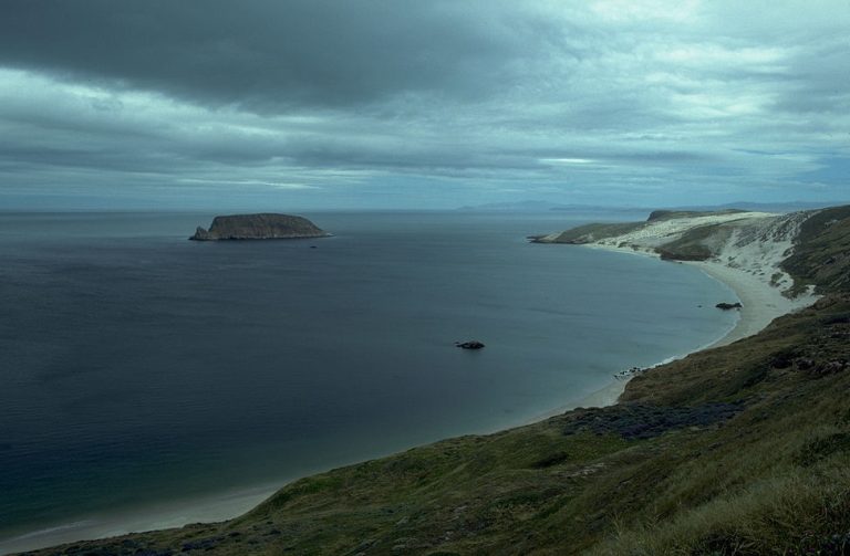 37 Interesting Facts about Channel Islands National Park - World's Facts