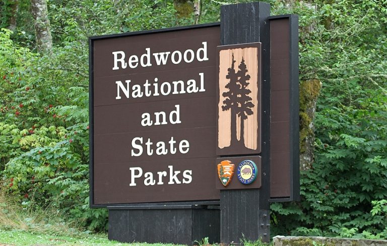 32 Interesting Facts about Redwood National Park - World's Facts