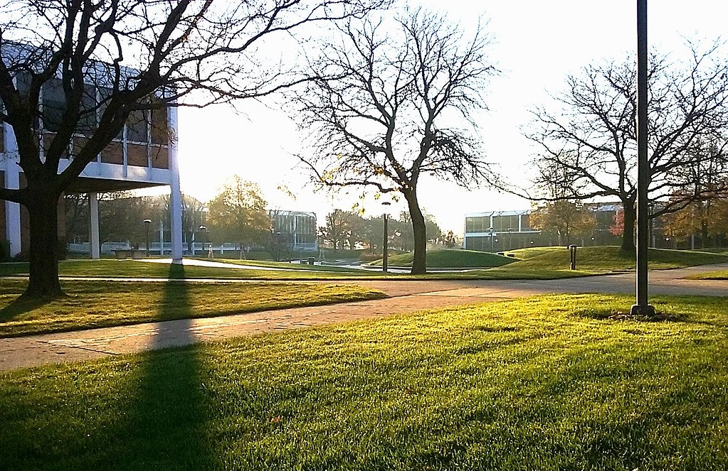 36 Interesting Facts about Triton College - World's Facts