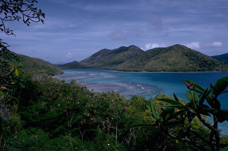 28 Interesting Facts about Virgin Islands National Park - World's Facts