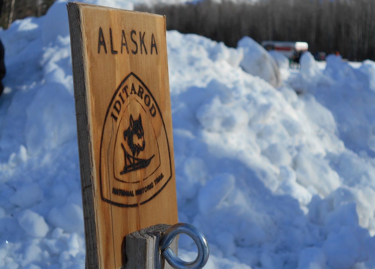 32 Interesting Facts about Iditarod - World's Facts