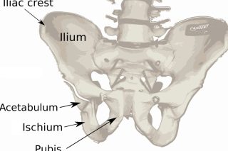 18 Interesting Facts about Ilium - World's Facts