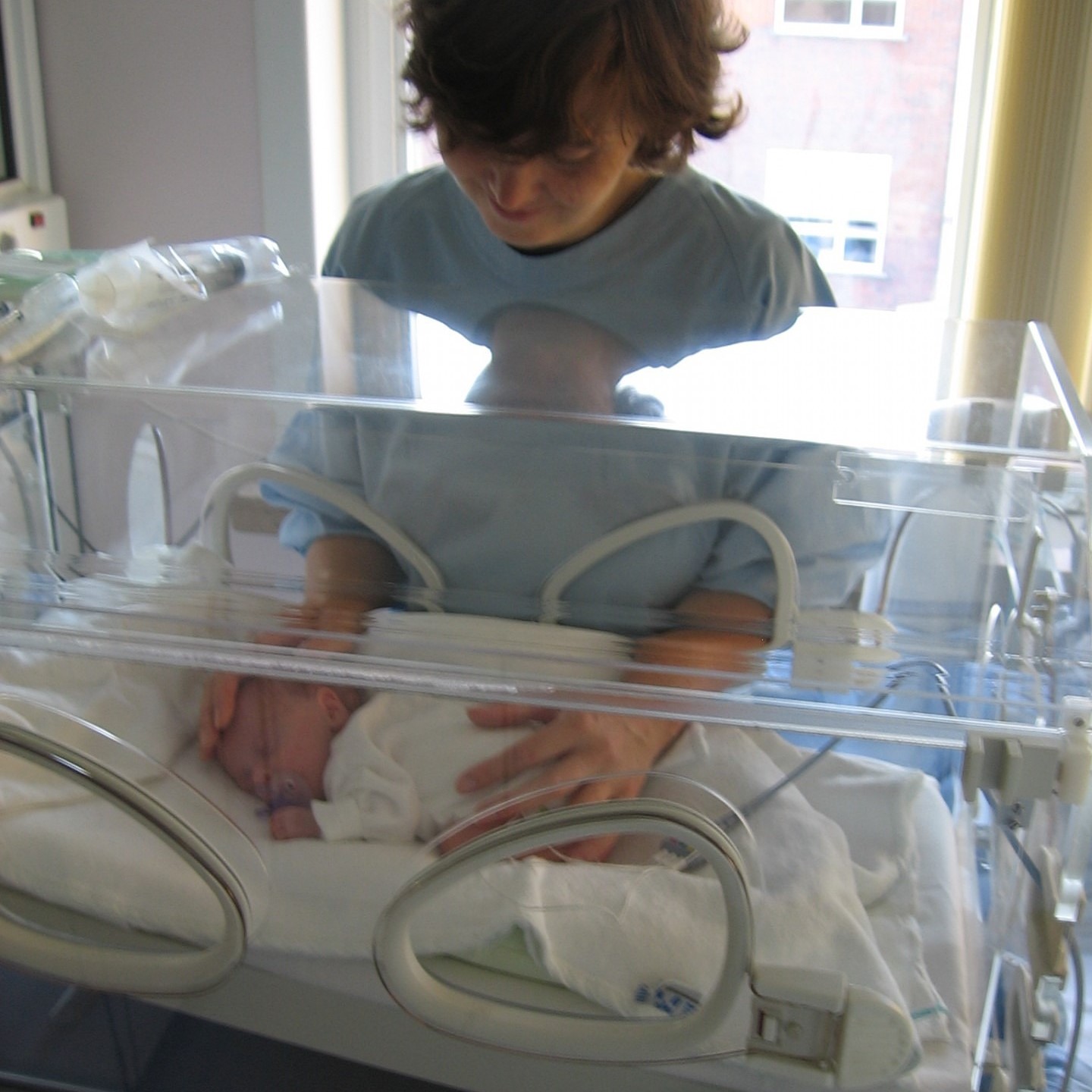 21 Interesting Facts about Incubator - World's Facts