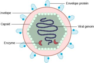 26 Interesting Facts about Infectious Diseases - World's Facts