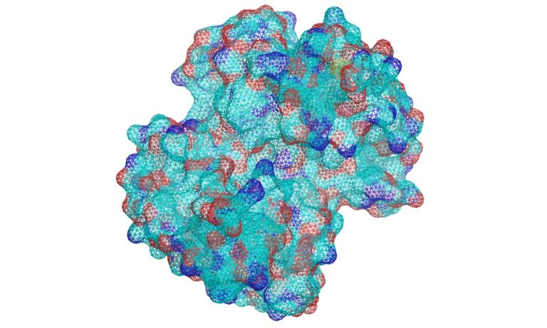 35 Interesting Facts about Haemoglobin - World's Facts