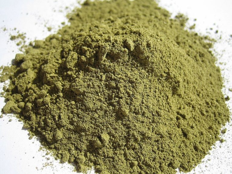 26 Interesting Facts about Haka - World's Facts