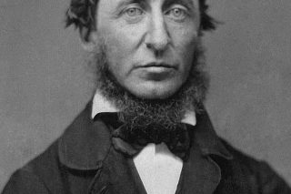 12 Interesting Facts about Henry David Thoreau - World's Facts